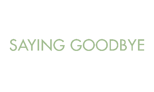 To Be The Little Fish Saying Goodbye Sticker by Josie Dunne for iOS ...