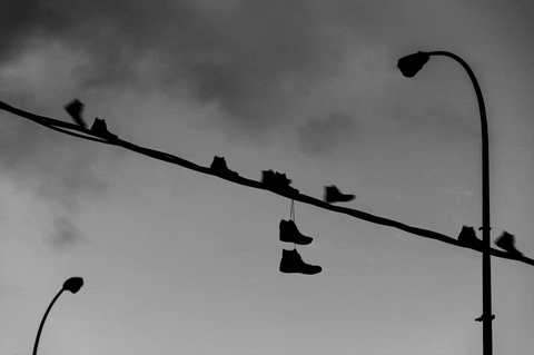 Hang Wire GIFs - Get the best GIF on GIPHY