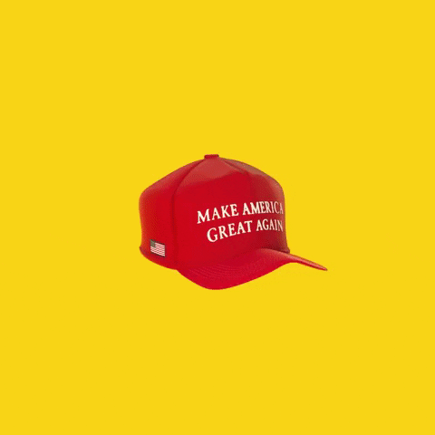 College Hat GIFs - Get the best GIF on GIPHY