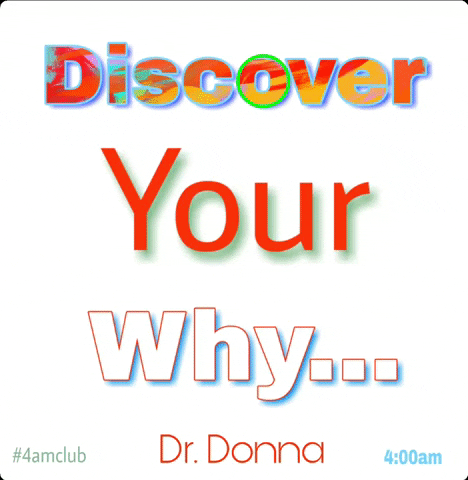 I Discover GIFs - Get the best GIF on GIPHY