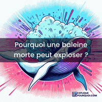 Decompose Gifs Find Share On Giphy Find & Share On GIPHY