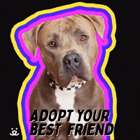 Youre-adopted GIFs - Get the best GIF on GIPHY