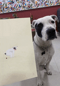 Gifs De Perros Lindos Página 15 | Imágenes De Tres Perros Descarga