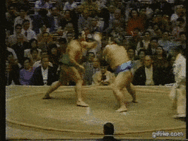 Sumo GIFs - Find & Share on GIPHY
