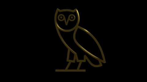 Drake Logo Owl