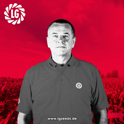 Erfreut GIFs - Find & Share on GIPHY