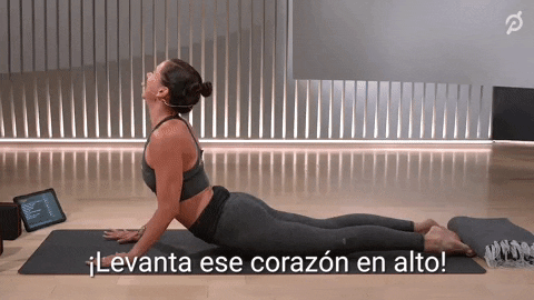 Alto Crescimento GIFs - Get the best GIF on GIPHY