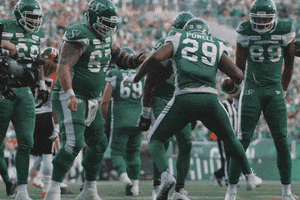Saskatchewan Roughriders GIFs on GIPHY - Be Animated