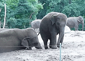 Push GIFs - Find & Share on GIPHY