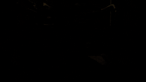 Edward The Dog GIFs - Get the best GIF on GIPHY