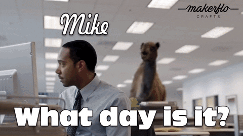 Restocked GIFs - Get the best GIF on GIPHY