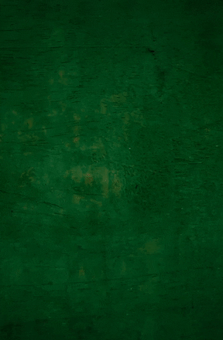 Ich Bin Ein Star Holt Mich Hier Raus GIFs - Get the best GIF on GIPHY