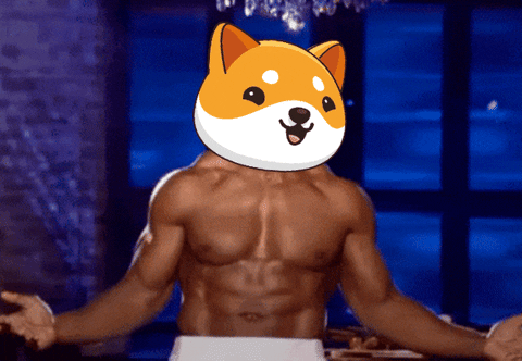 Baby Doge Web GIFs on GIPHY - Be Animated
