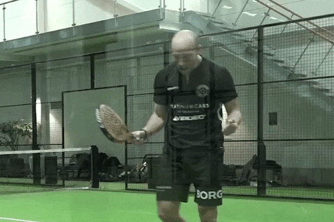 Padel Direkt GIFs - Get the best GIF on GIPHY