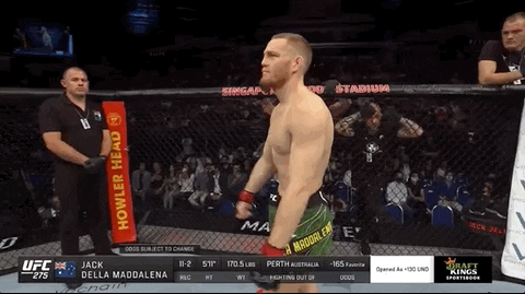 Fight Fighting GIF by UFC - Find & Share on GIPHY