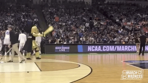 Ucf-baskteball GIFs - Get the best GIF on GIPHY