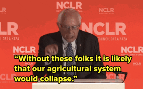 Nclr GIFs - Get the best GIF on GIPHY