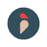 Hi, Finch GIFs on GIPHY - Be Animated