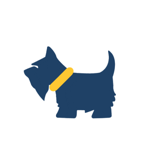 Dog Fashion Sticker by Ferrioni for iOS & Android | GIPHY