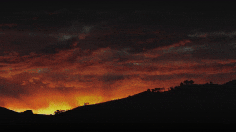 Sleep-sack GIFs - Get the best GIF on GIPHY
