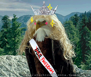 Eagle Freedom Gif