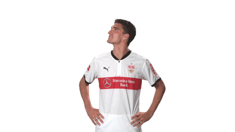 Vfb Stuttgart Wtf Sticker by Bundesliga for iOS & Android | GIPHY