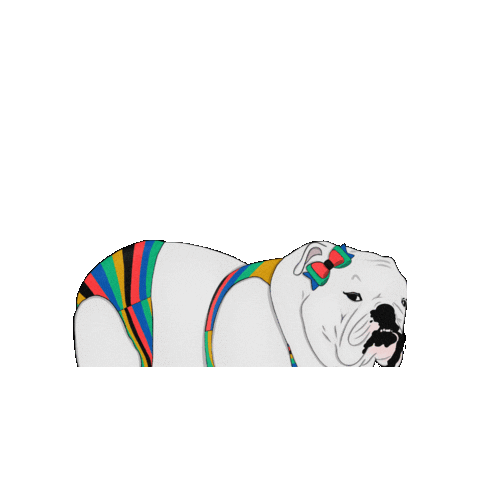 Solid Treasures GIFs - Find & Share on GIPHY