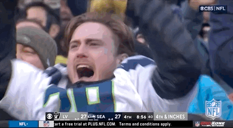 Seattle Seahawks Football GIF by NFL - Find & Share on GIPHY
