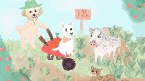 Farm Fresh GIFs - Get the best GIF on GIPHY