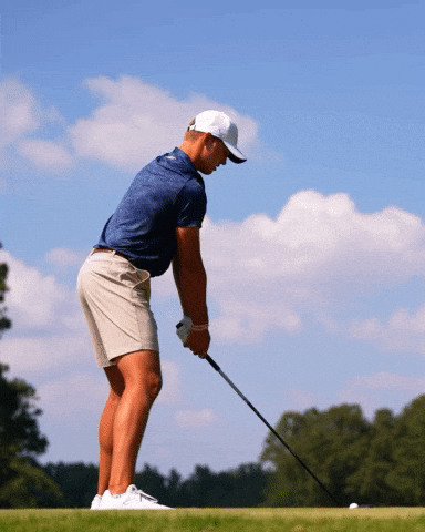 Georgia Tech Golf GIFs on GIPHY - Be Animated