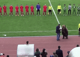 10 Incredible Animal Athletes! by Sports GIFs | GIPHY