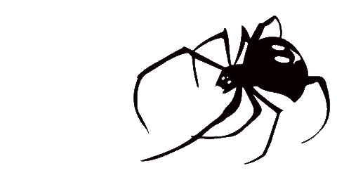 Spider Crawl Sticker by Taikan for iOS & Android | GIPHY