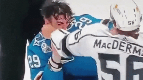 Nhl Fights GIFs - Get the best GIF on GIPHY