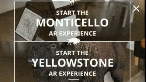 American Bison GIFs - Get the best GIF on GIPHY