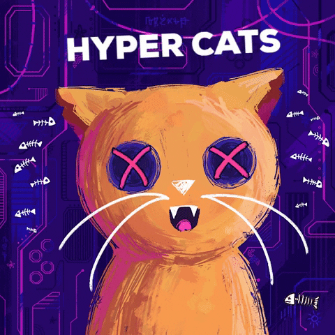 Hyper Cat Gif