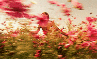 Girl Running In Field Of Flowers Gif
