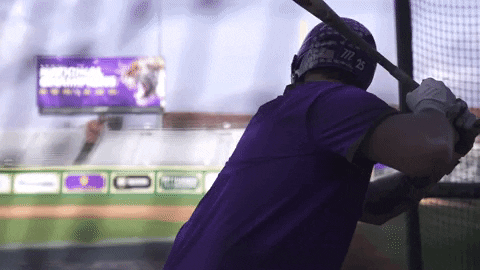 Lsu Baseball Sport GIF by LSU Tigers - Find & Share on GIPHY