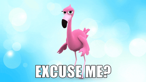 Excuse Me What GIF by orientaltrading - Find & Share on GIPHY