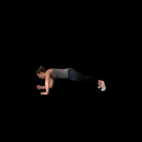 Plank GIF by OpenBarre - Find & Share on GIPHY