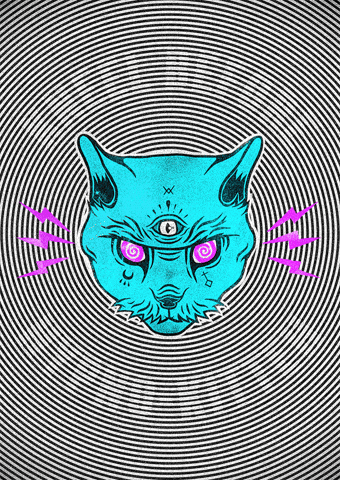 Teh GIFs - Get the best GIF on GIPHY