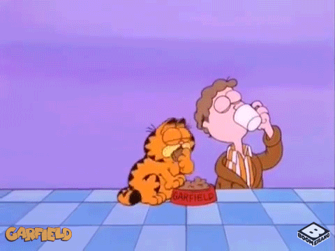 Thanksgiving with Garfield by Boomerang Official | GIPHY