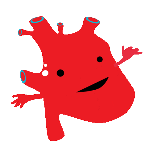 Cardiology Heart You Sticker by I Heart Guts for iOS & Android | GIPHY