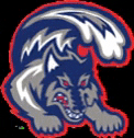 Wolfie-seawolf GIFs - Get the best GIF on GIPHY