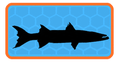 Vision Fly Fishing GIFs on GIPHY - Be Animated