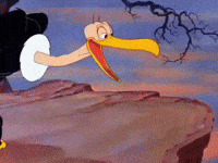 Vultures Gif
