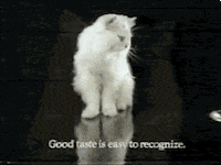 Cat Eating Meme GIFs - Find & Share on GIPHY