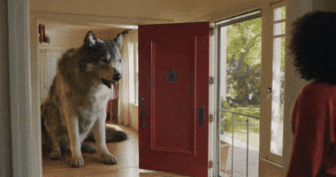 Great Wolf Lodge GIFs on GIPHY - Be Animated
