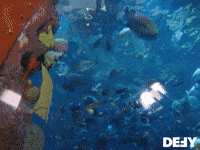 What-is-the-reason GIFs - Get the best GIF on GIPHY