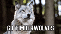 Go-wolves GIFs - Get the best GIF on GIPHY