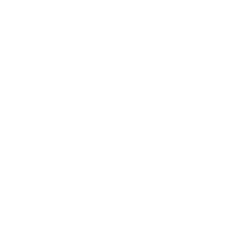 Jim Morrison The Doors Logo